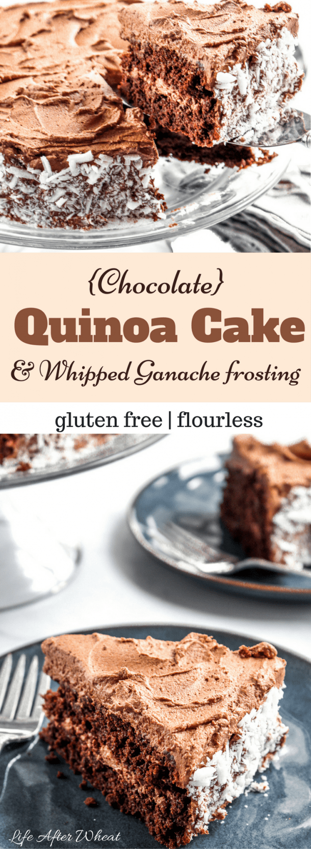 Amazing Quinoa Chocolate Cake Recipe (gluten free!)