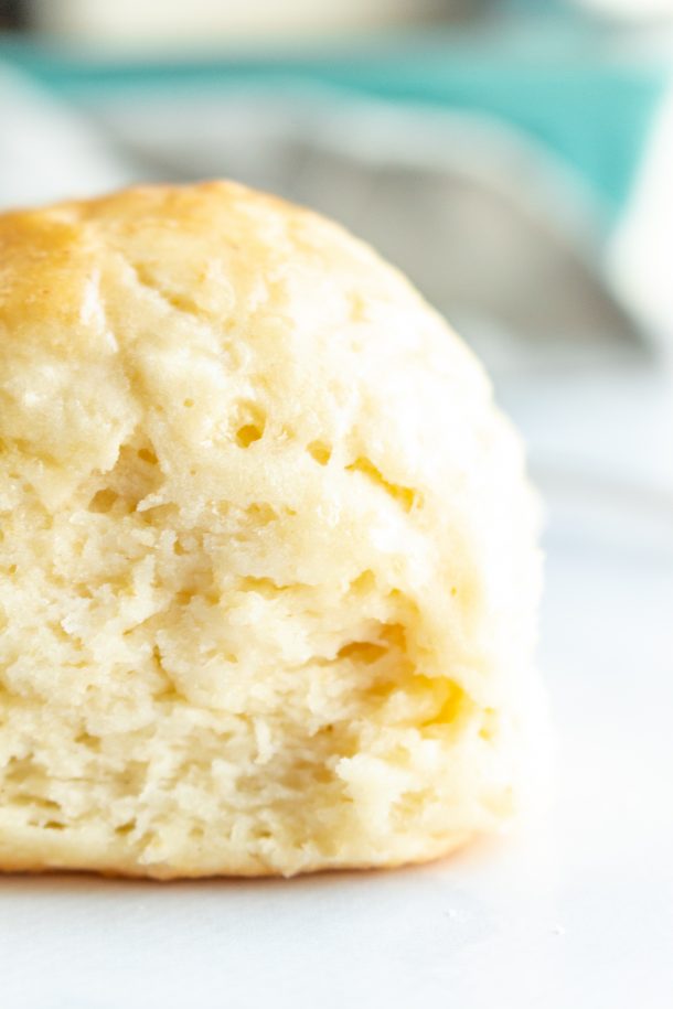 Gluten Free Dinner Rolls Recipe SUPER SOFT and Easy! - Life After Wheat