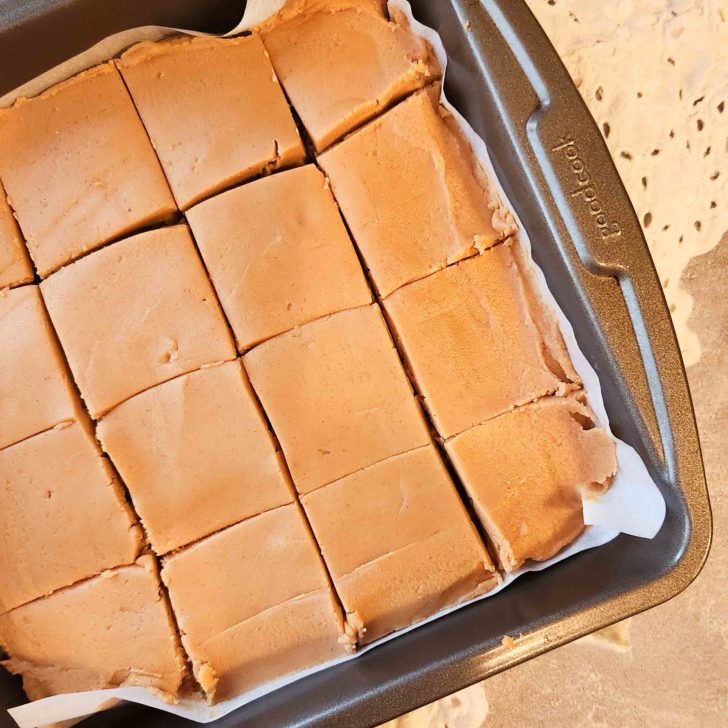 Easy 2 Ingredient Peanut Butter Fudge (with video)